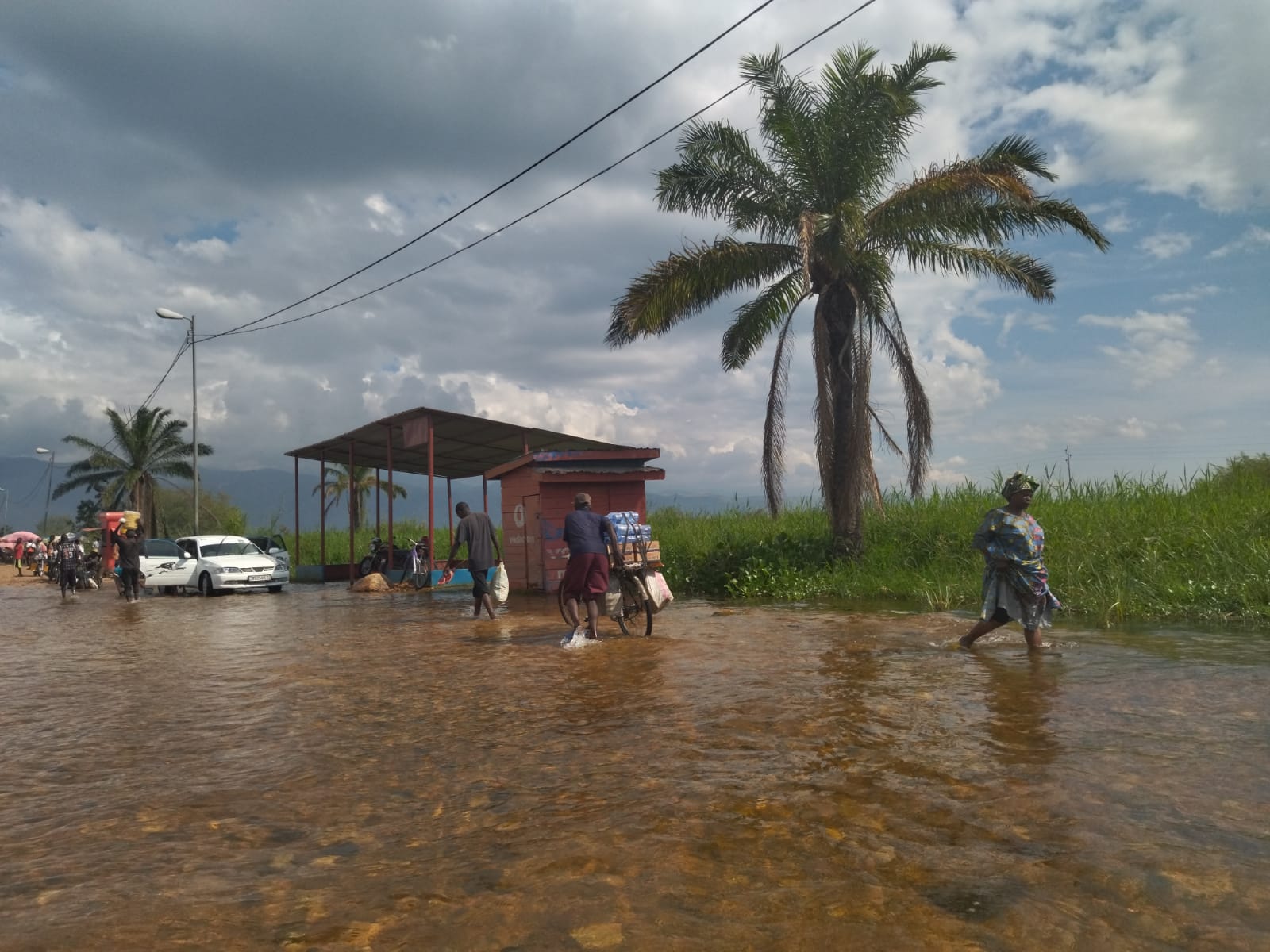 Sur les Pas de l’Écoféminisme : Espoir et Lutte - pluriversaldreams